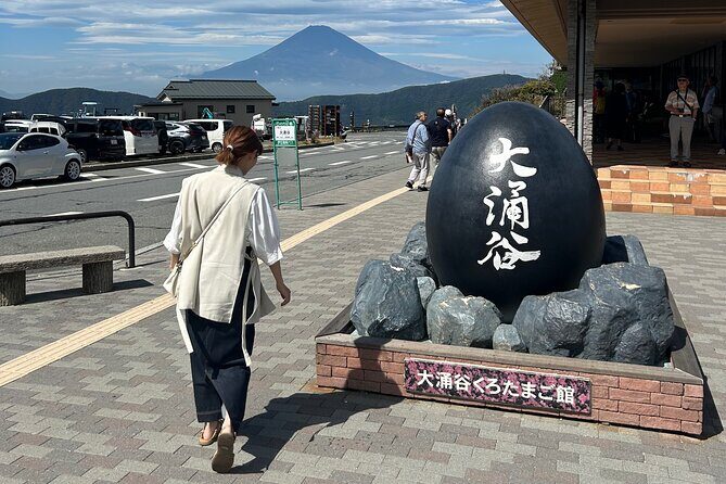 Full Day Mt.Fuji&Hakone Tour, From-To Tokyo, Yokohama, 2-12guests - Practical Considerations and Value