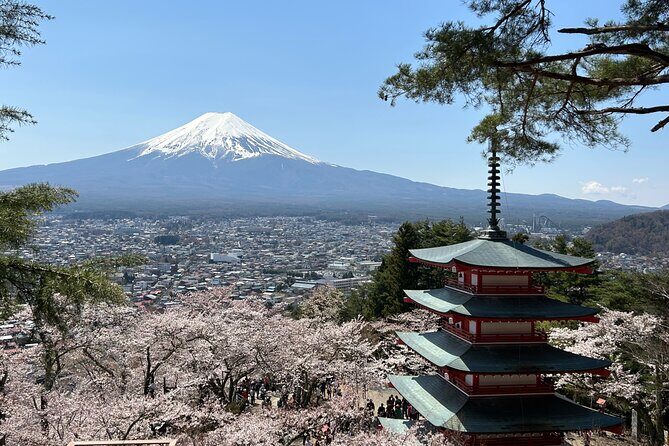 Full day Mt.Fuji&Hakone Tour with Guide-Driver 11-20 guests - Key Points