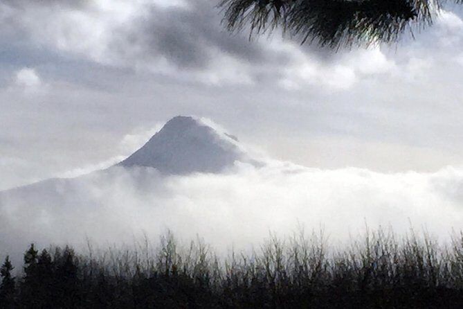 Full-Day Mt Hood Waterfall Tour with Lunch and Wine Included - Discovering Oregon’s Iconic Landscapes and Flavors