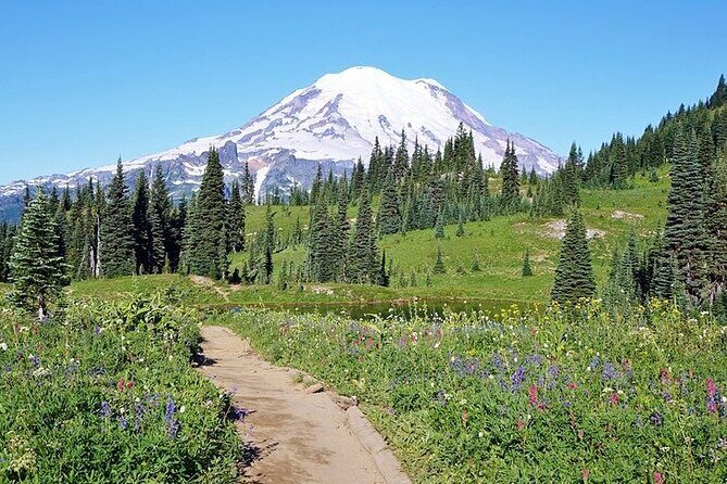 Full-Day Mt Rainier National Park Private Tour in SUV - Who Should Consider This Tour?