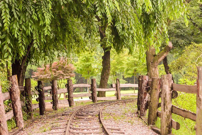 [ Full Day ] Nami Island, Petite France and Hot place Myeongdong! - Nami Island: Nature, Art, and a Photo Op