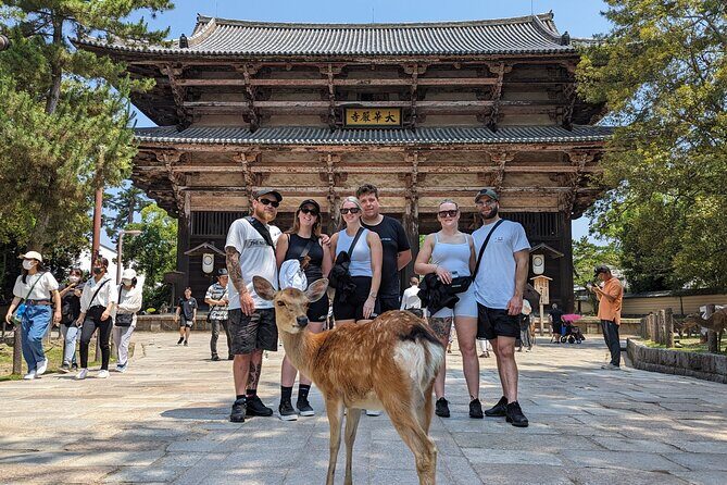 Full Day Nara E bike Tour and Osaka History Food Tour - An In-Depth Look at the Tour Experience