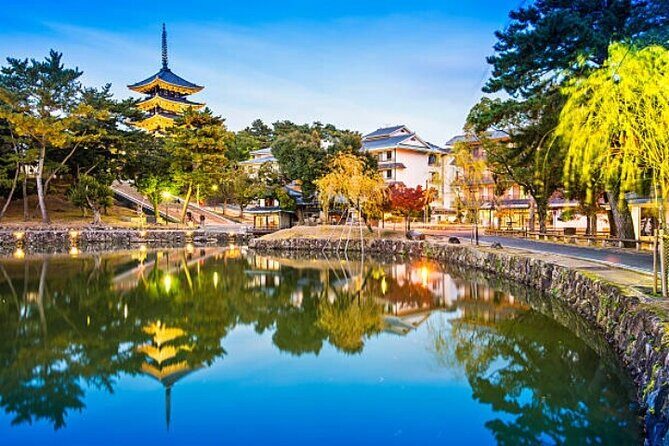 Full Day Nara Highlights Tour with Hotel Pick up and Drop off - Exploring Nara: The Private Full Day Highlights Tour