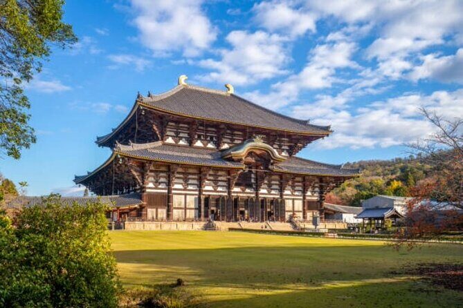 Full Day Nara Highlights Tour with Hotel Pick up and Drop off - Why the Private Tour Format Works