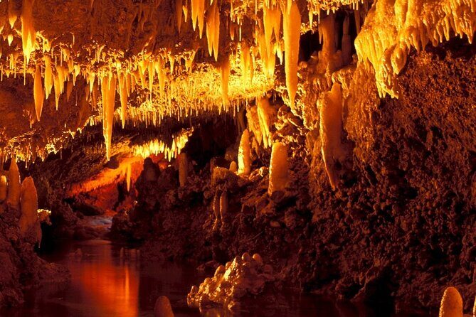 Full-Day Natural Heritage Tour in Barbados with Lunch - An In-Depth Look at the Tour Experience