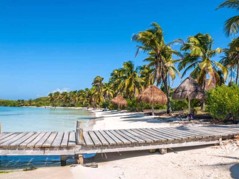 Full Day Nature Expedition to Contoy Island and Isla Mujeres - Who Will Love This Tour?