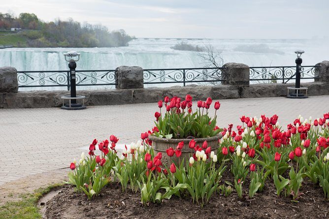 Full-Day Niagara Falls Tour from Toronto w/Boat/JBF/Tower - Optional Tower Visit