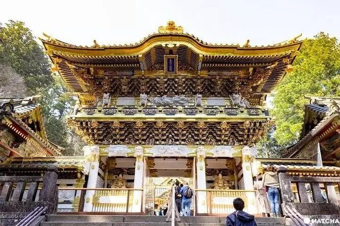 Full Day Nikko Private Tour with Multilingual Chauffeur - Visiting the Iconic Toshogu Shrine