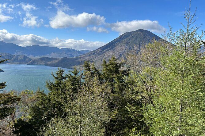 Full Day Nikko Tour, From/To Tokyo, 2- 12 guests - What Travelers Say