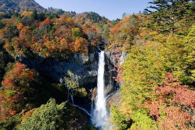 Full Day Nikko Tour, From/To Tokyo, 2- 12 guests - Practical Tips for Your Day Trip
