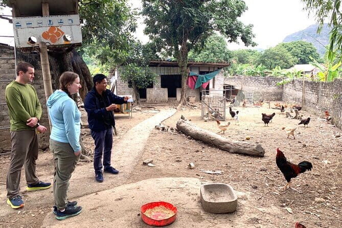 Full-Day Ninh Binh Group of 9 Guided Tour Mua Cave Tam Coc Hoa Lu - What the Tour Offers and Why It Matters