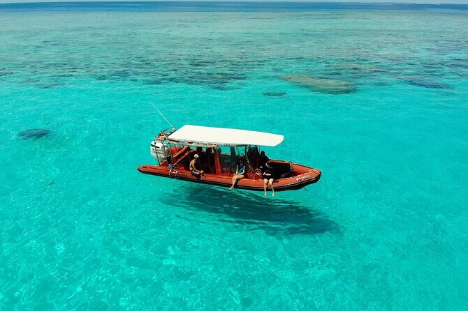 Full Day Nouméa Signal Island Turtle Tour - The Breakdown of the Tour Experience