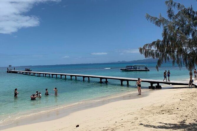 Full Day Nouméa Signal Island Turtle Tour - Final Thoughts: Is This Tour Right for You?