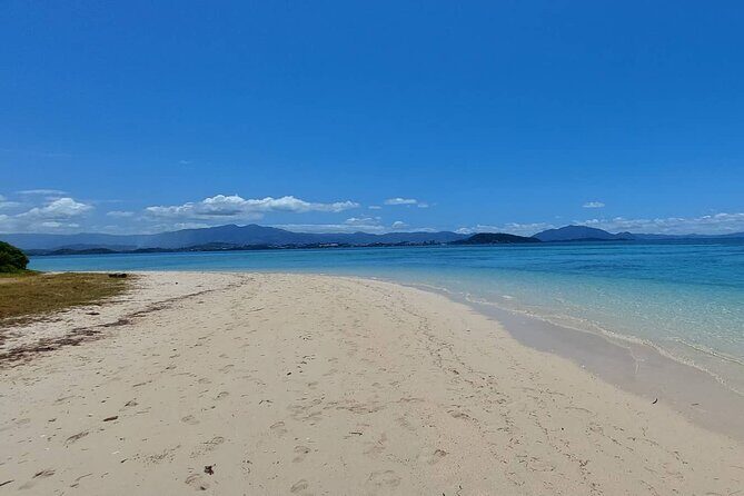 Full Day Nouméa Signal Island Turtle Tour - FAQ Section