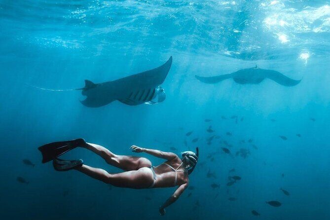 Full Day Nusa Penida Manta Point Snorkeling and West Island Tour - Key Points