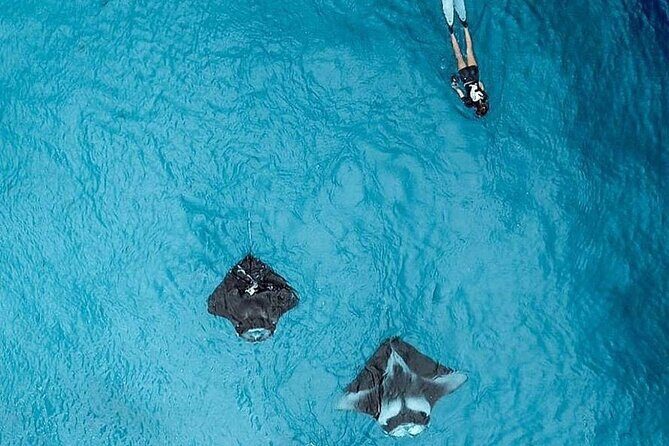 Full Day Nusa Penida Manta Point Snorkeling and West Island Tour - Final Thoughts: Who Should Consider This Tour?