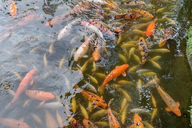 Full Day Oahu Tour with Byodo Temple & Waimea Waterfalls - FAQs