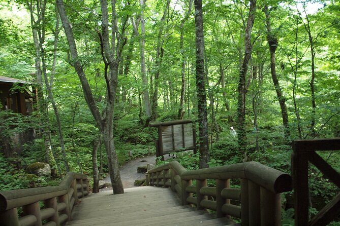 Full day Oirase Stream and Lake Towada Tour - Frequently Asked Questions
