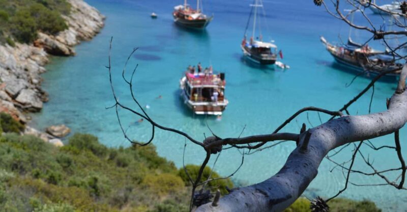 Full-Day Orak Island Boat Trip from Bodrum - Practical Details & Tips for Travelers