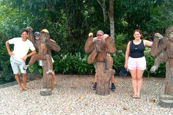 Full Day Orang Utan Sepilok, Proboscis Monkey, Sunbear, RDC - Key Points