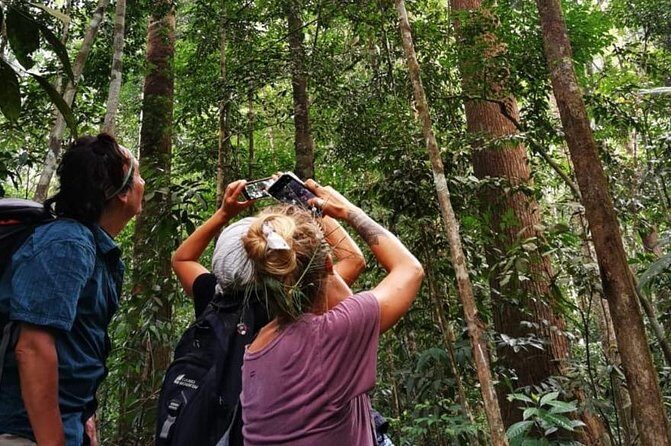 Full-Day Orangutans Adventure in Gunung Leuser - Summing Up: Is It Worth It?