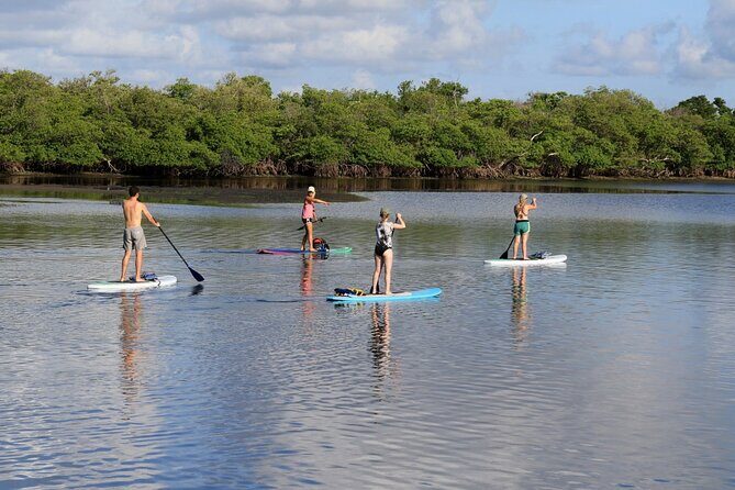 Full-Day Paddle Board Rental in Naples, Florida - Introduction: Your Guide to Paddling in Naples