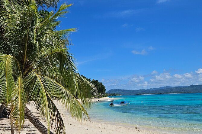 Full Day Pele Island Boat Tour with Barbeque Lunch - Key Points