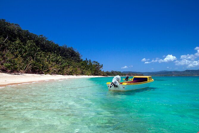 Full Day Pele Island Boat Tour with Barbeque Lunch - The Experience: A Deep Dive into the Pele Island Day Trip