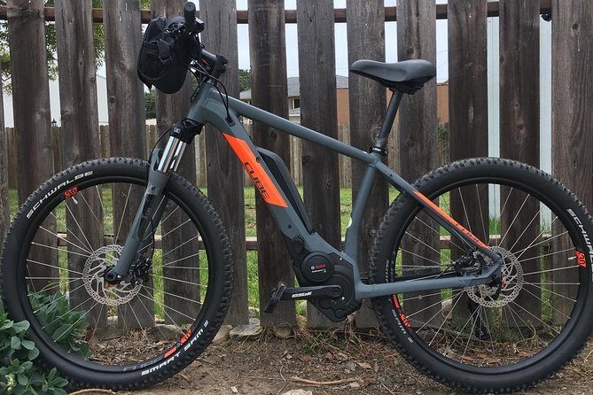Full Day Performance eBike Rental - The Journey Through La Jolla: Highlights and Personal Experience