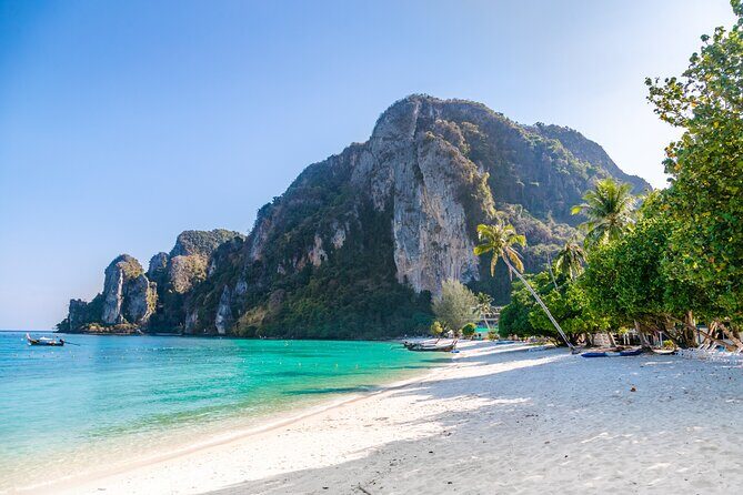 Full Day- Phi Phi Island & Maya Bay Snorkeling in Phuket & Lunch - Who Would Love This Tour?
