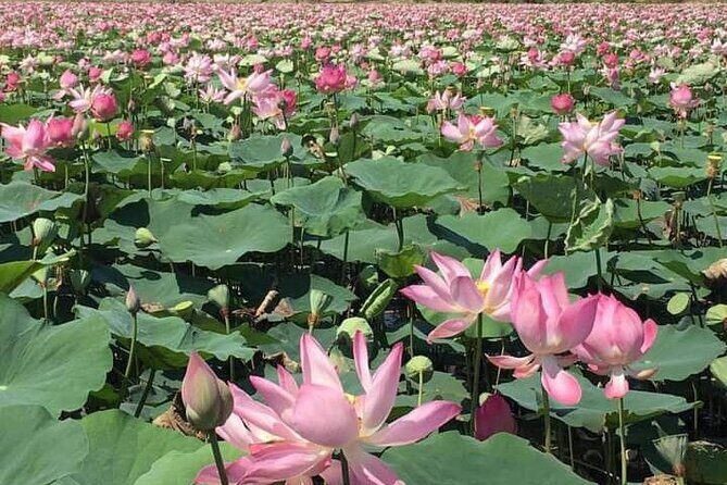 Full day Phnom Penh City Tour - Who Will Love This Tour?