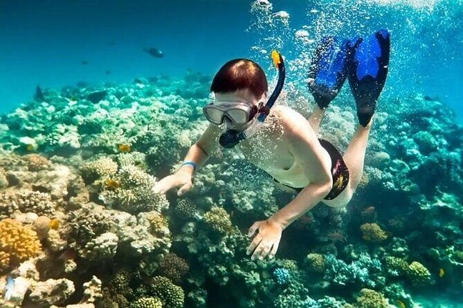 Full Day Phu Quoc Canoe and Cable Car Guided Tour - The Sum Up