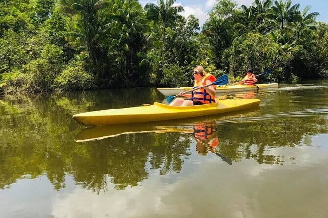 Full day Phu Quoc Discovery 4 Island with Cable Car Tour - The Sum Up