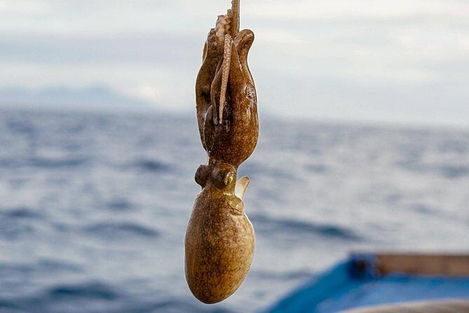 Full-day Phu Quoc Island Snorkeling Adventure - The Sum Up: Who Will Love This Tour?