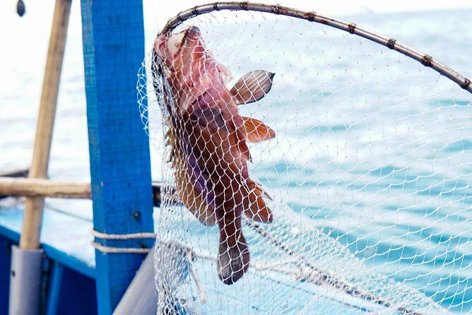 Full-day Phu Quoc Island Snorkeling Adventure - FAQs
