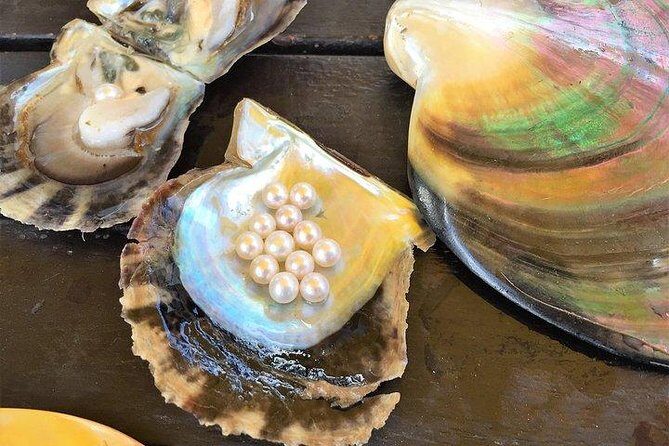 Full-day Phu Quoc Pearl Discovery And Historical Insights - Final Thoughts