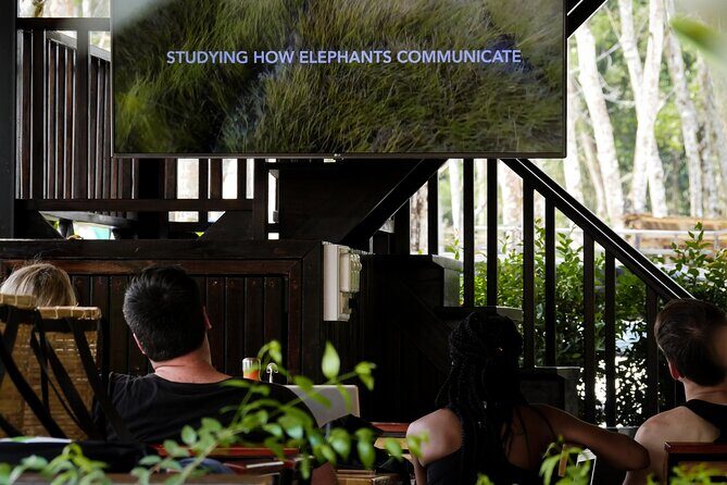 Full-Day Phuket Elephant Sanctuary Tour with Lunch and Dinner - An In-Depth Look at the Phuket Elephant Sanctuary Tour