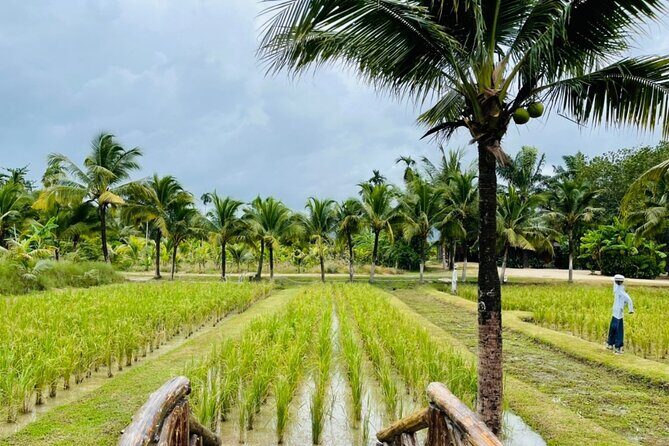 Full-Day Phuket Local Life Culture Tour with Pickup and Lunch - Practical Details and What They Mean for You