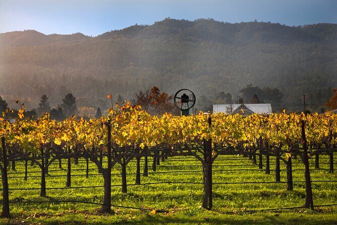 Full-Day Private Amador County Wine Tour from San Francisco - Who Is This Tour Best For?