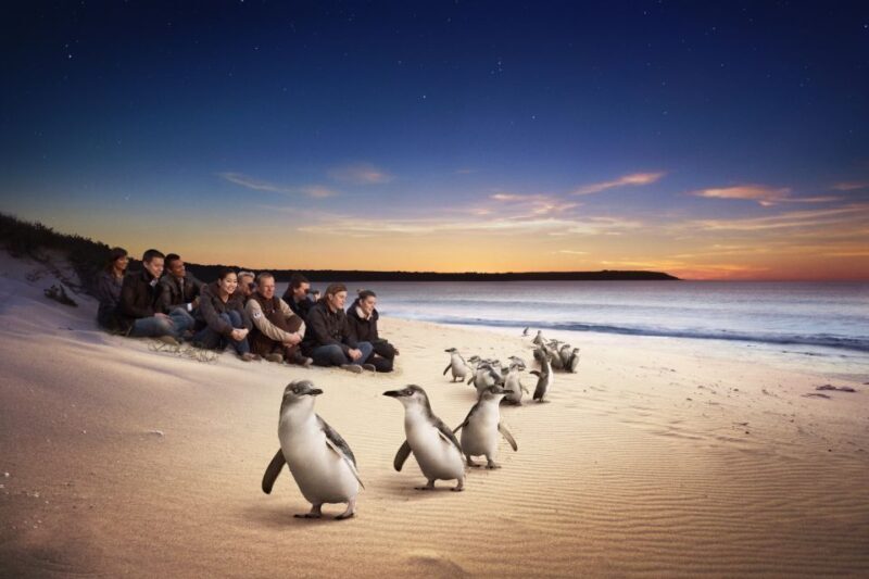Full-Day Private Australian Wildlife Tour of Phillip Island - A Closer Look at the Phillip Island Adventure