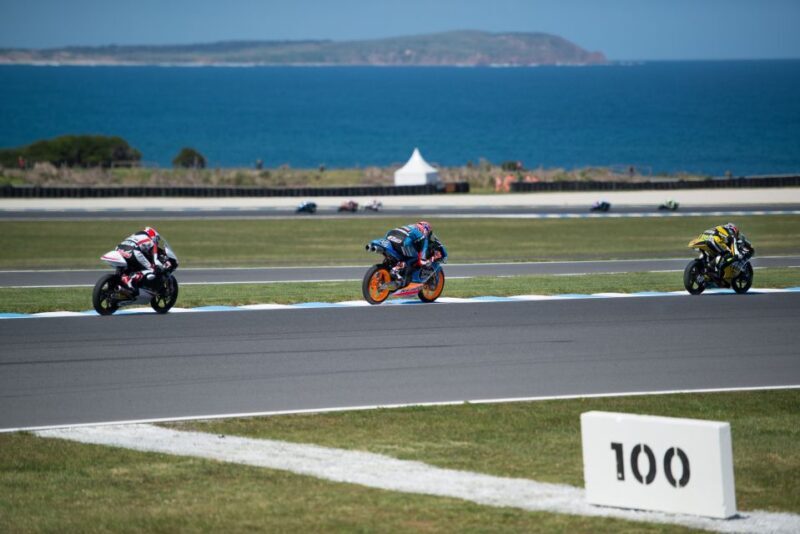 Full-Day Private Australian Wildlife Tour of Phillip Island - Who Is This Tour Best Suited For?