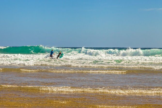 Full-Day Private Australian Wildlife Tour of Phillip Island - The Value for Money