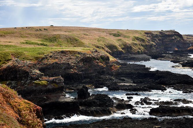 Full-Day Private Australian Wildlife Tour of Phillip Island - FAQs