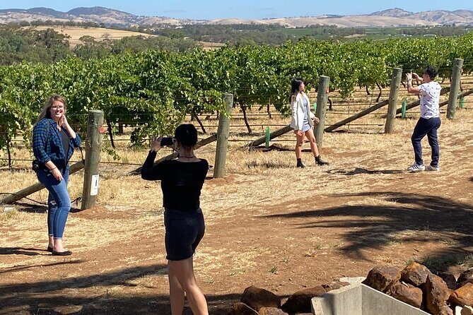 Full-Day Private Barossa Valley Wine Bus Tour - FAQ