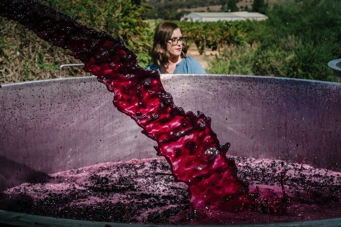 Full Day Private Barossa Valley Wine Tour - The Itinerary: What You Can Expect and Why It Matters