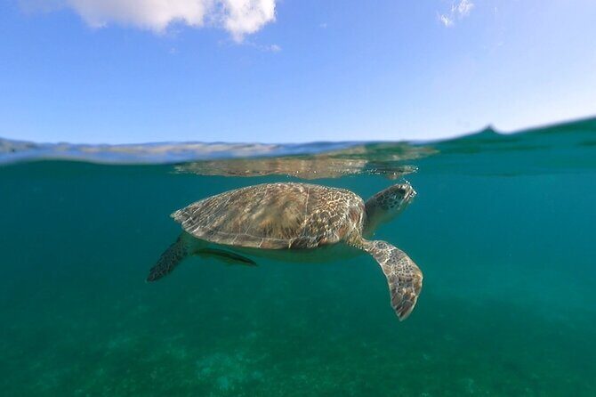 Full-Day Private Boat Charter from St. John or St. Thomas - Practical Details: Pricing, Duration, and Booking