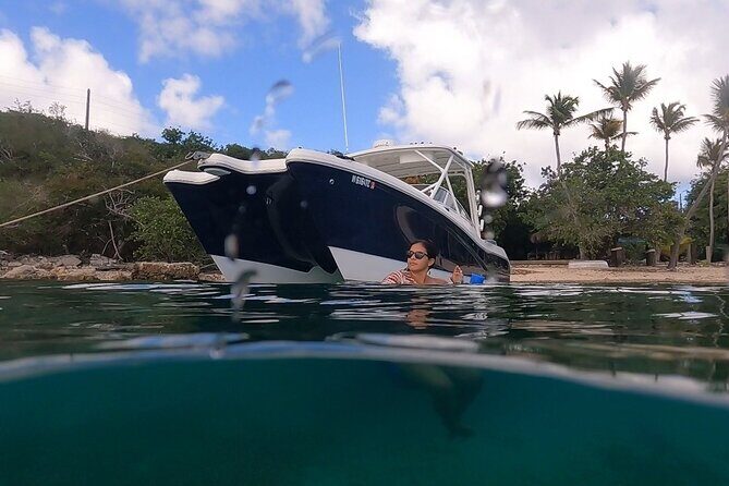 Full-Day Private Boat Charter from St. John or St. Thomas - The Sum Up: Who Will Love This Tour?
