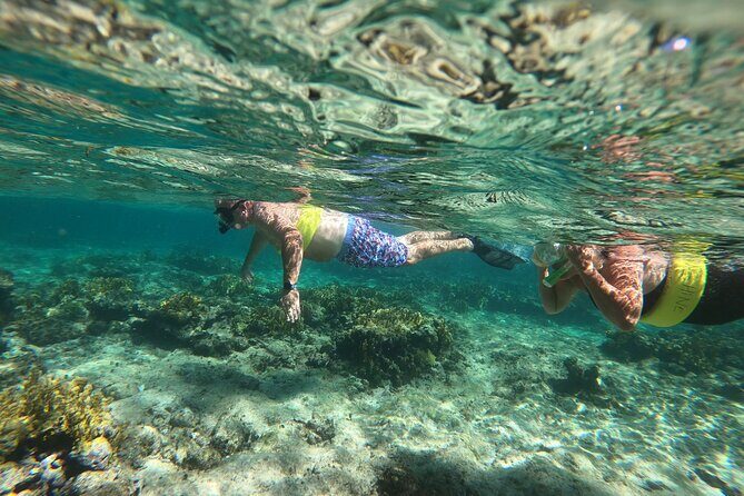 Full Day Private Boat Snorkeling, Sightseeing and Beach BBQ - Who Will Appreciate This Experience?