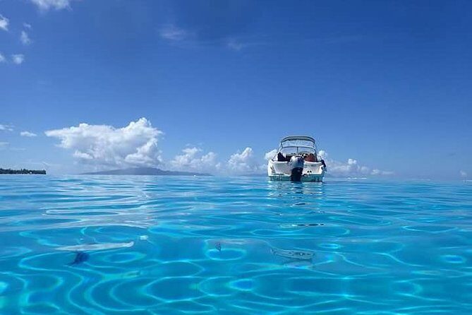 Full-Day Private Boat Tour of Bora Bora Lagoon with Snorkel - The Sum Up