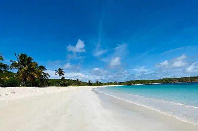 Full Day Private Boat Tour To Culebra - Who Will Love This Tour?